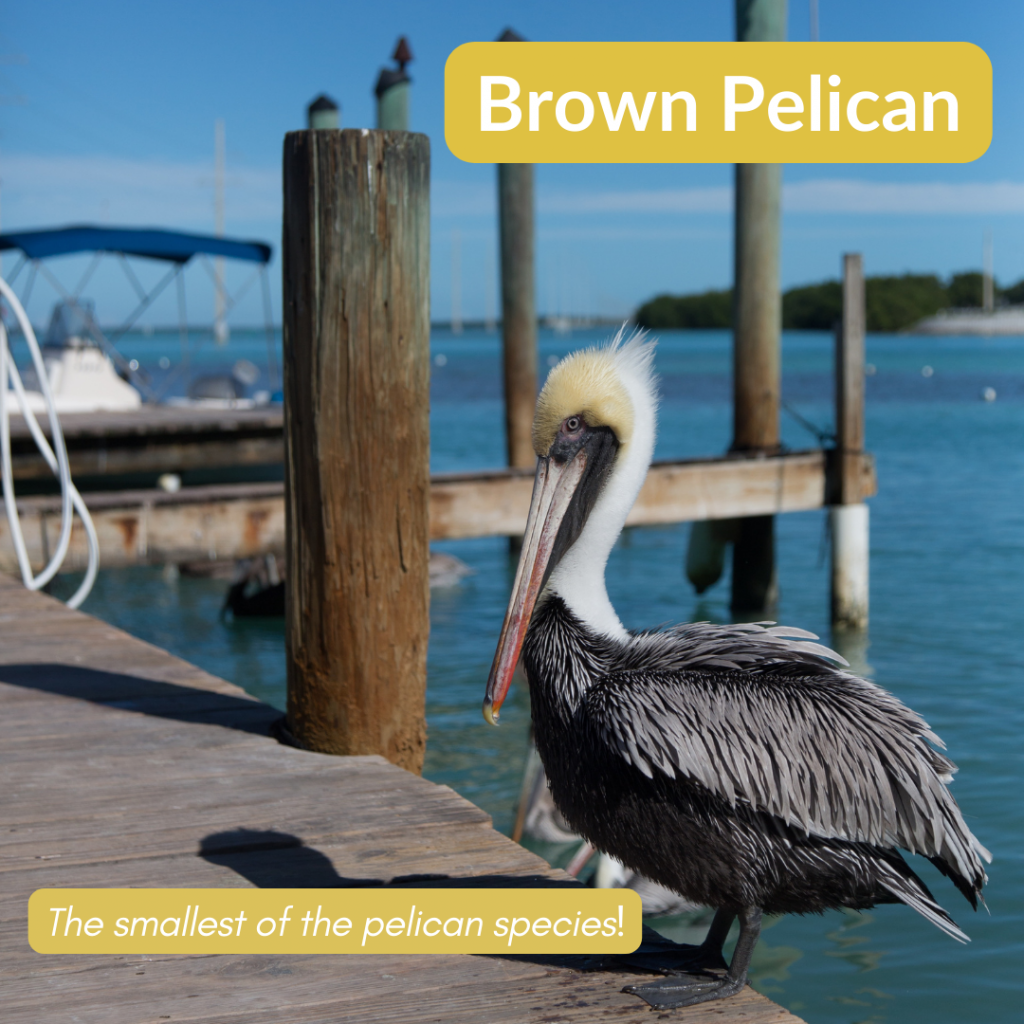 Genna Nordling – Thompson Earth Systems Institute