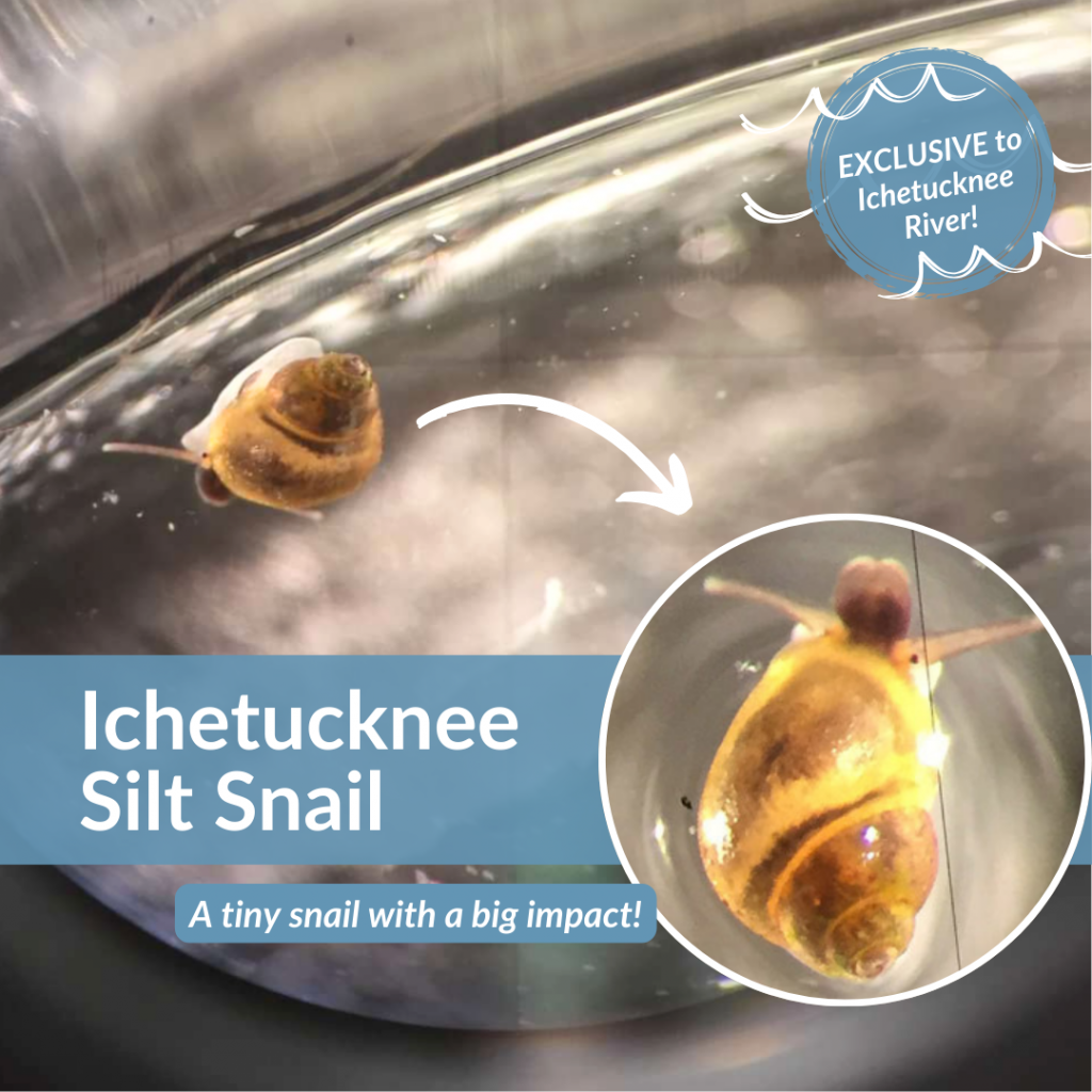 Isabel Yianilos – Thompson Earth Systems Institute