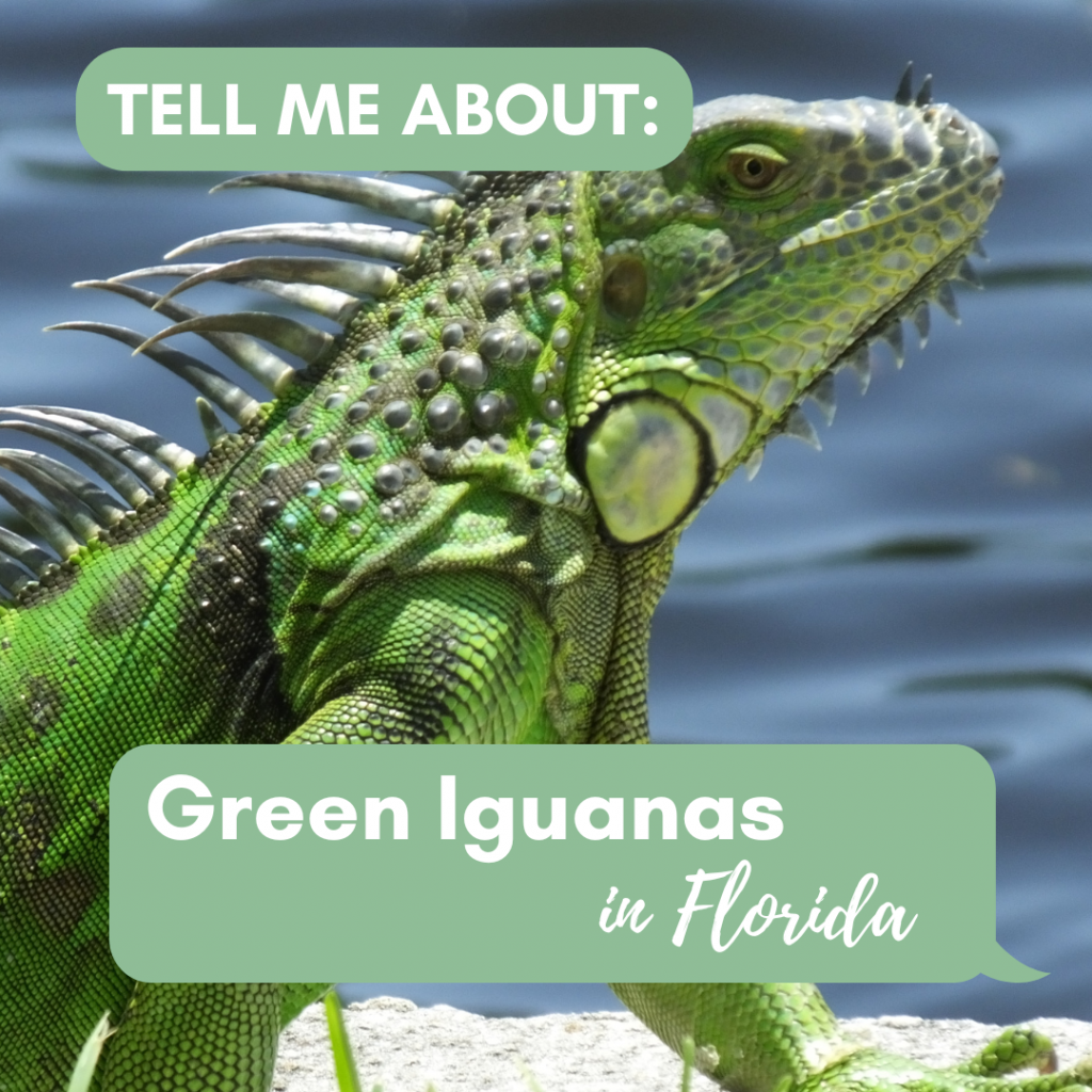 Genna Nordling – Thompson Earth Systems Institute