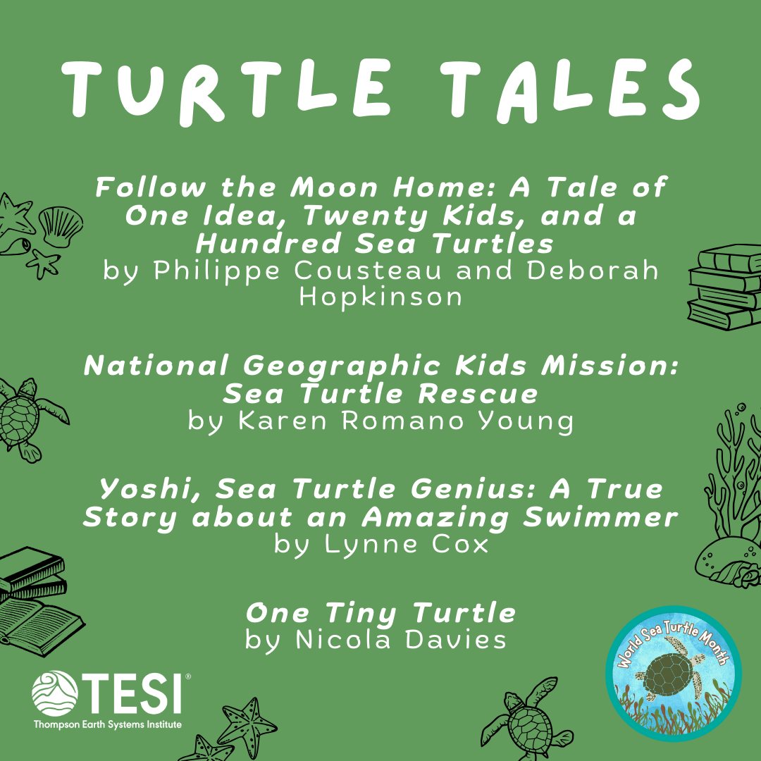 Celebrate Sea Turtles this Month with These Activities! – Thompson ...
