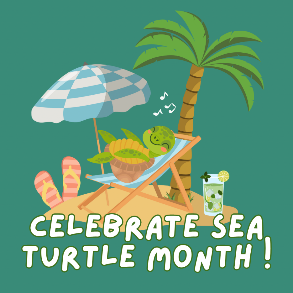 Celebrate World Sea Turtle Month throughout June! – Thompson Earth ...
