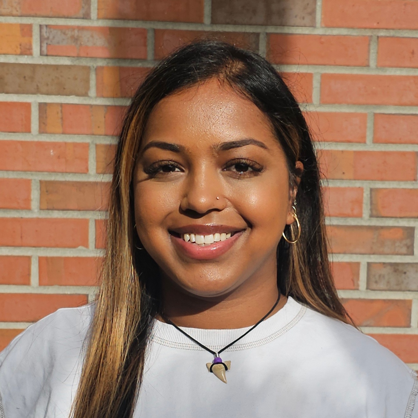 Cohort III: AI Learning in K-12 with Fossil Sharks for Middle School ...