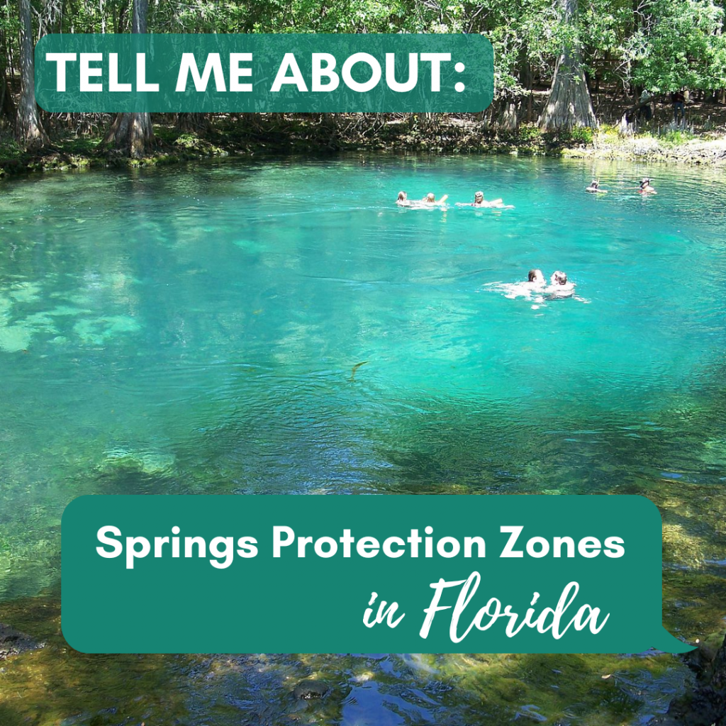 The Swamp for the Springs – Thompson Earth Systems Institute