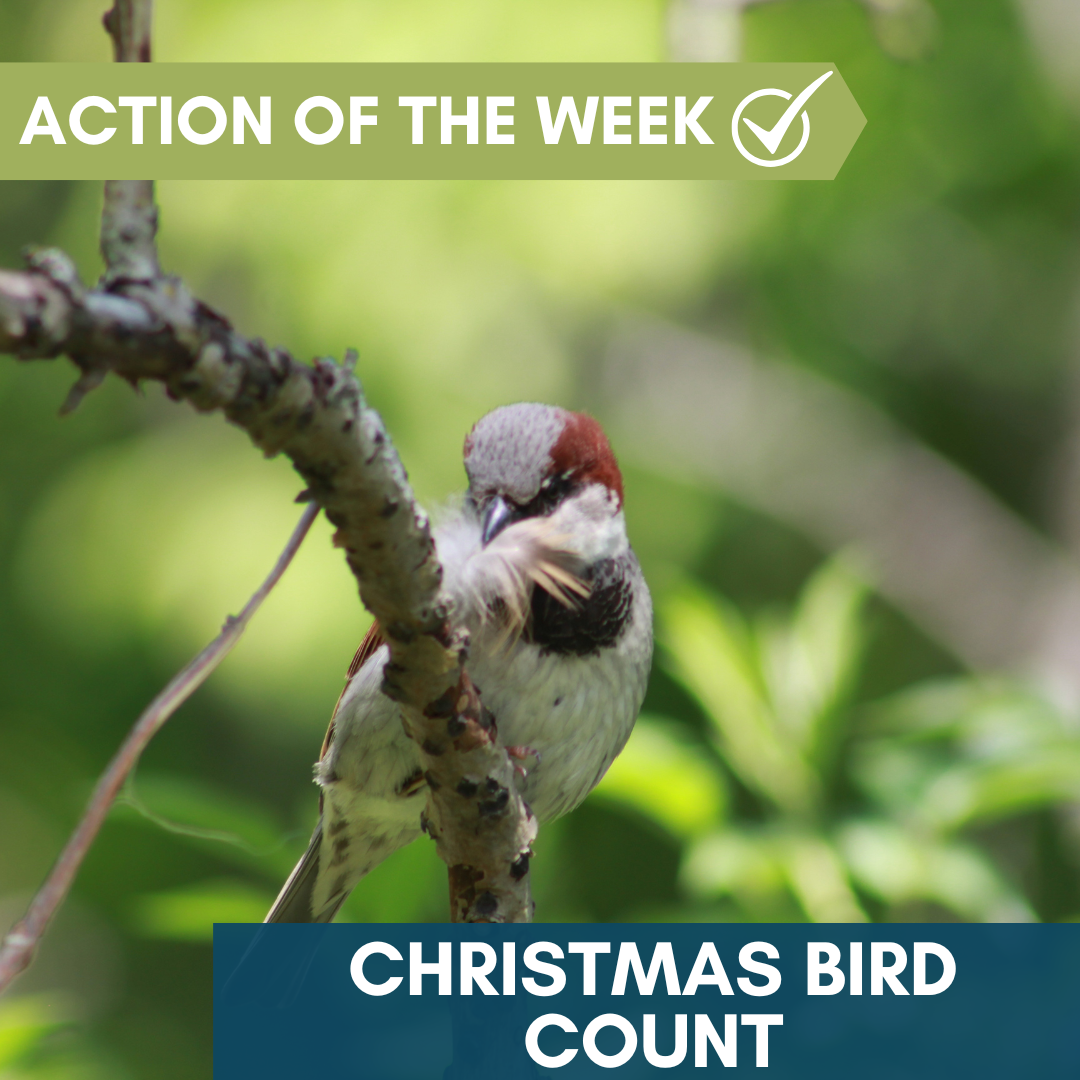 Levi Hoskins – Thompson Earth Systems Institute