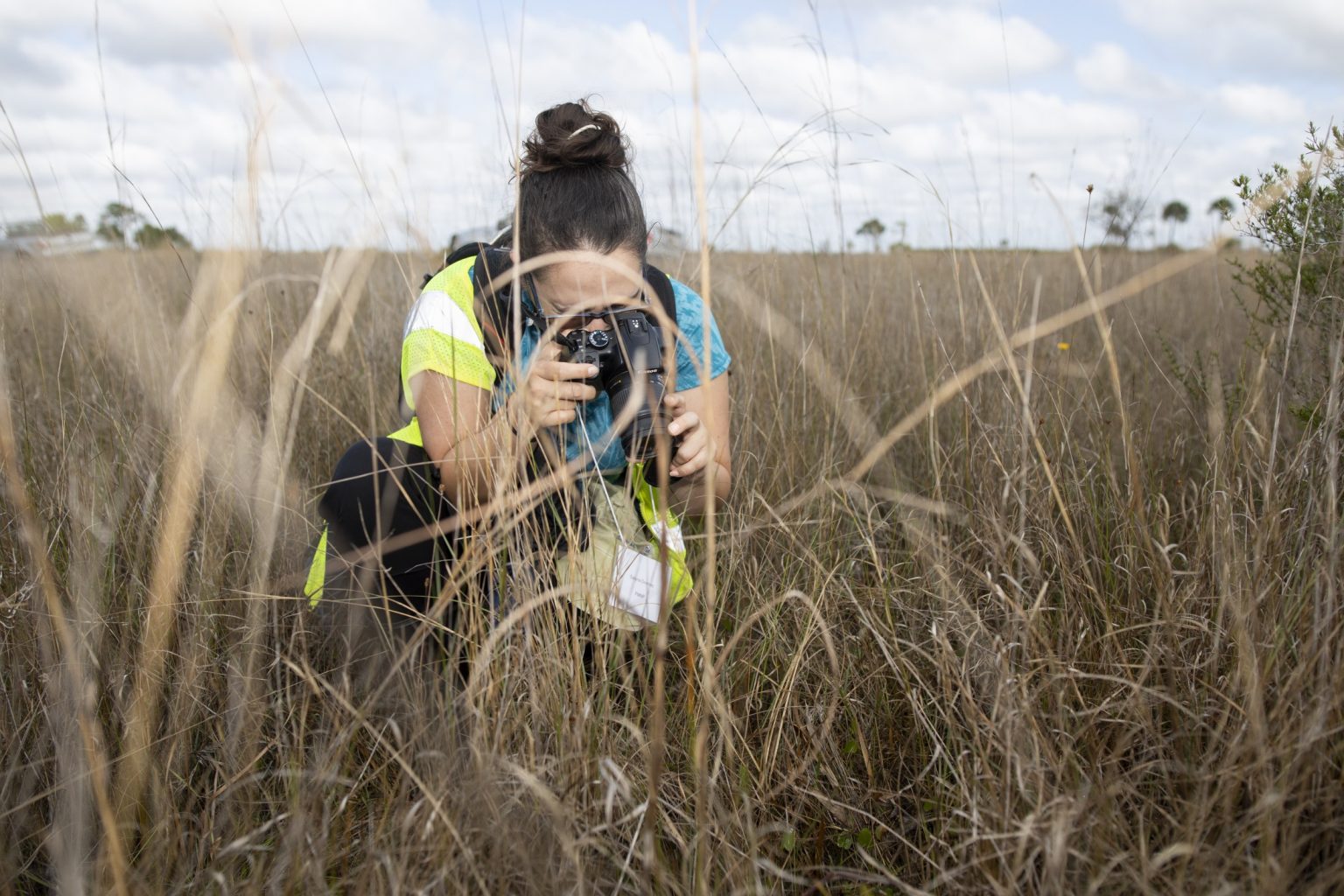 Tell Me About: DeLuca Preserve BioBlitz – Thompson Earth Systems Institute