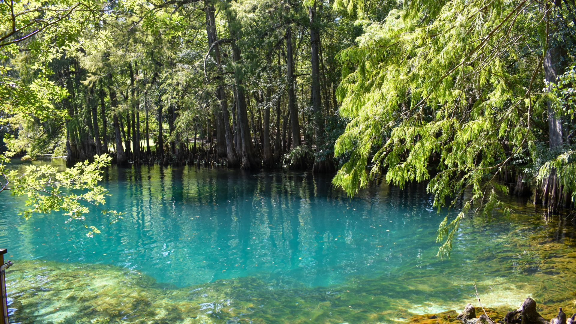 Environmental Leaders Network Events – Thompson Earth Systems Institute