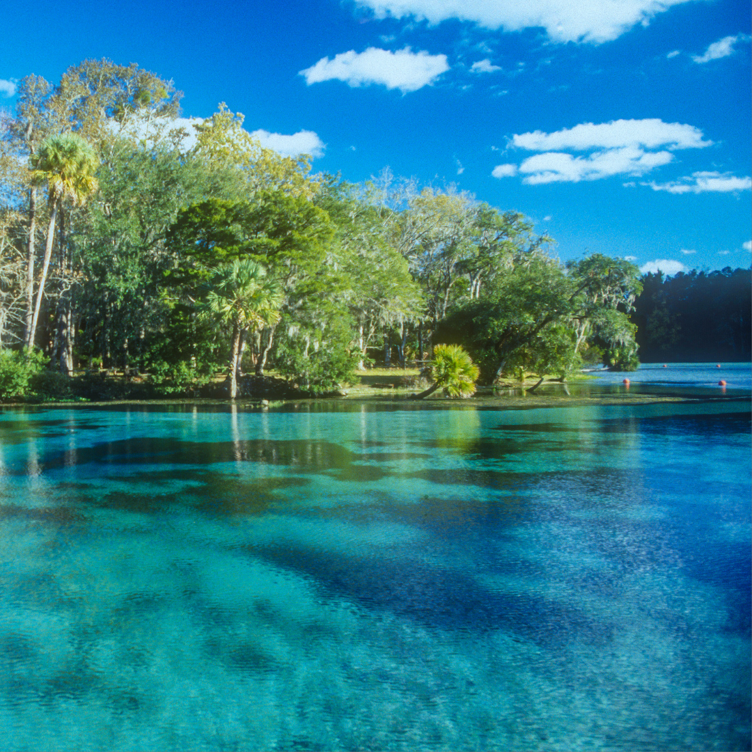 Tell Me About: Aquifer Recharge – Thompson Earth Systems Institute