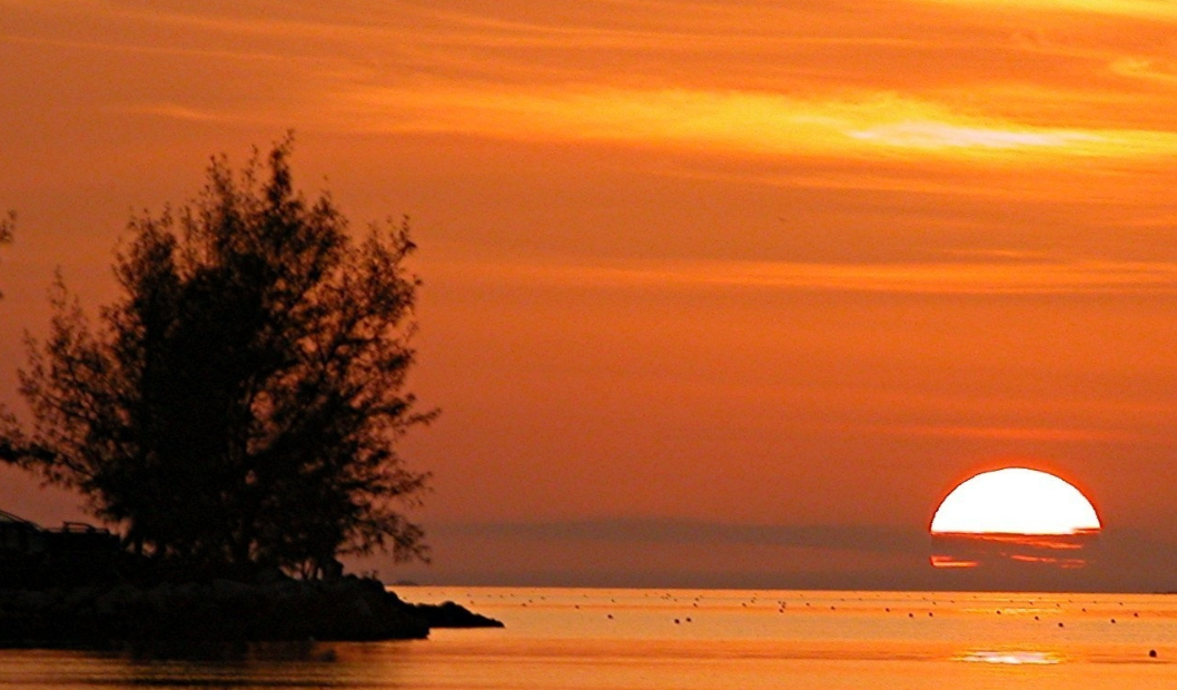 Tell Me About: The Calusa Tribe – Thompson Earth Systems Institute