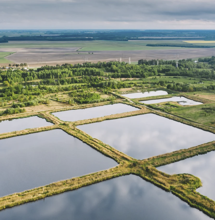 Tell Me About: Rapid Infiltration Basins – Thompson Earth Systems Institute