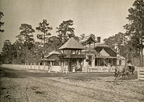 Natural History & Early Tourism in Florida – Artist-Naturalists in Florida